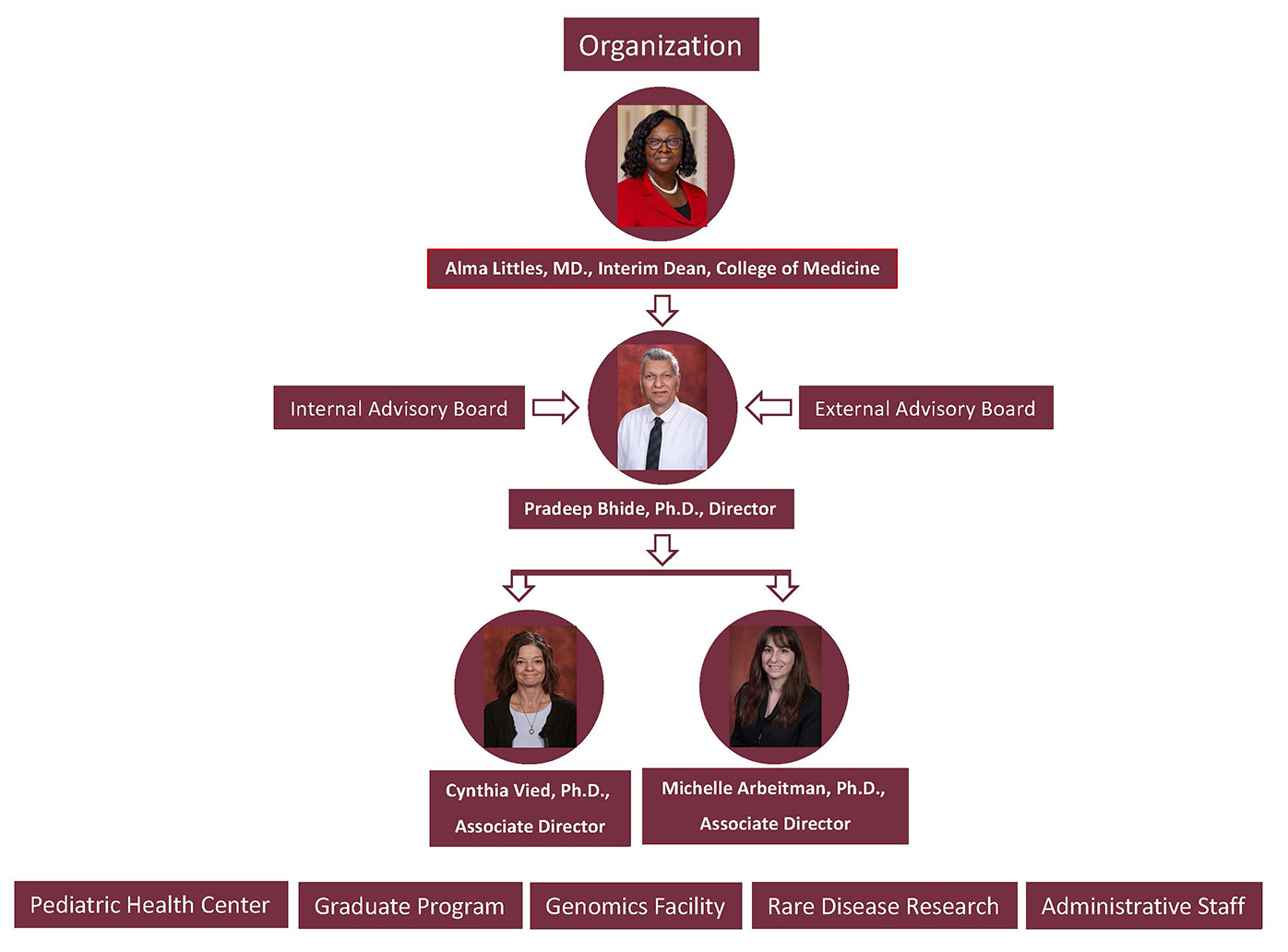 Organization | College of Medicine